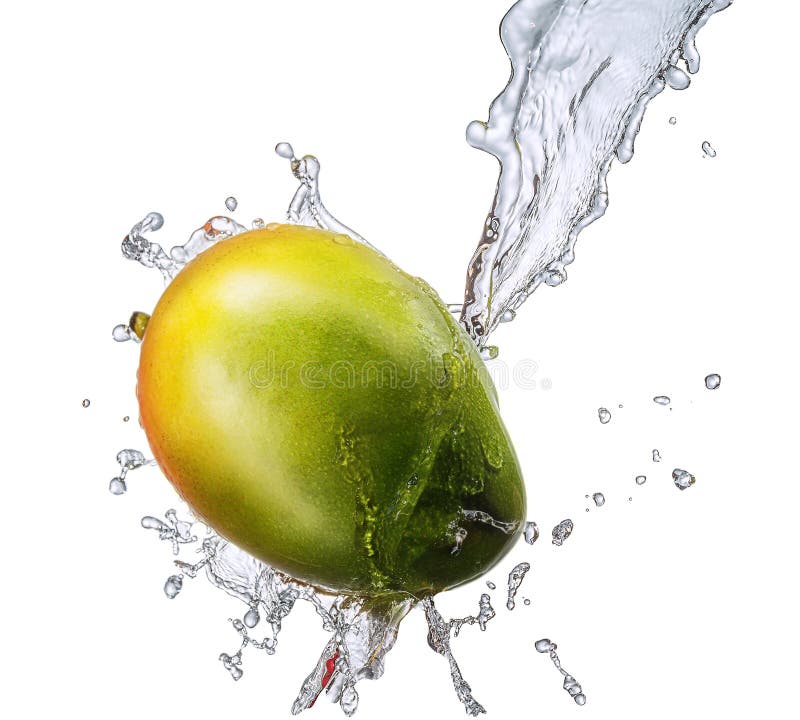 Water Splash with Mango Isolated Stock Image - Image of juicy, drop ...
