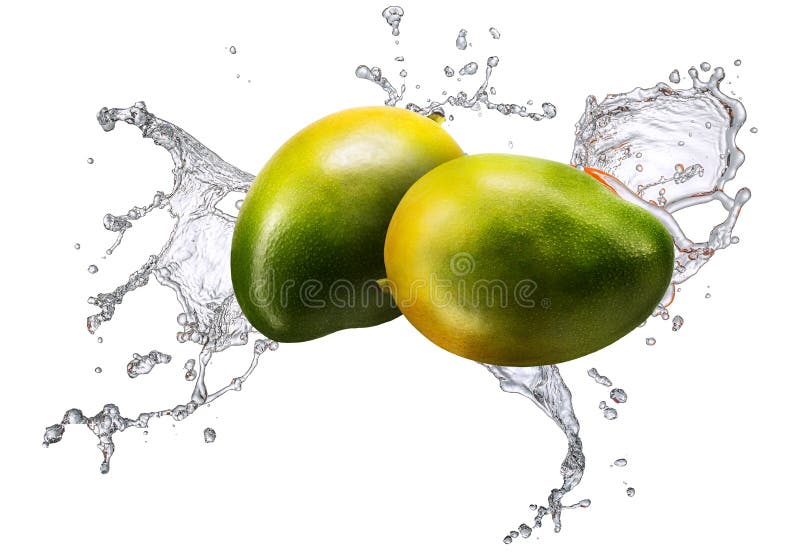 Water Splash with Mango Isolated Stock Photo - Image of green, exotic ...
