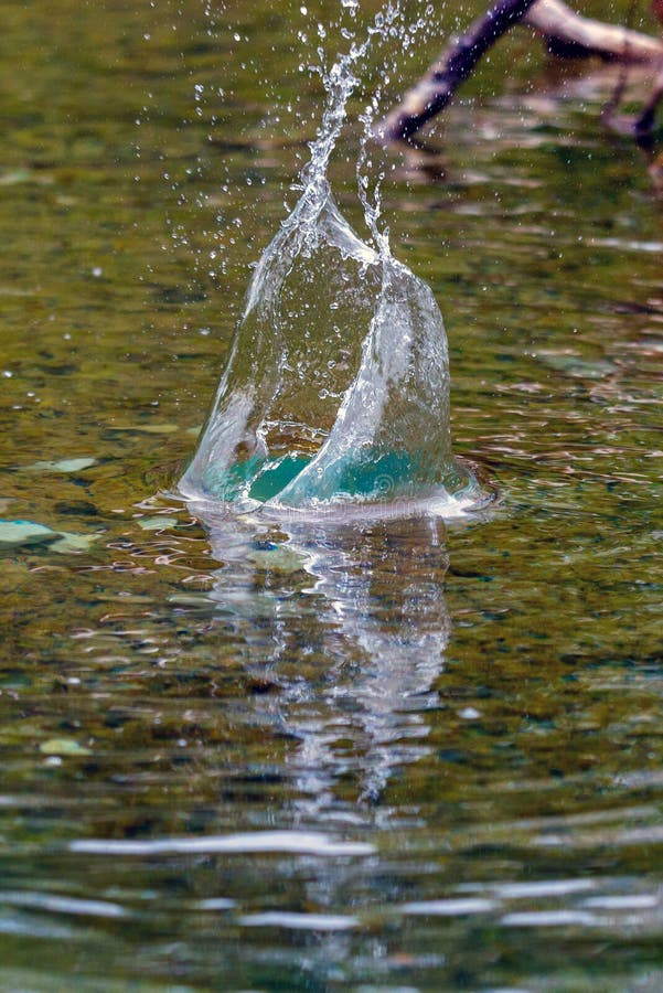 Water Splash in Nature Lake Stock Photo - Image of background, isolated ...