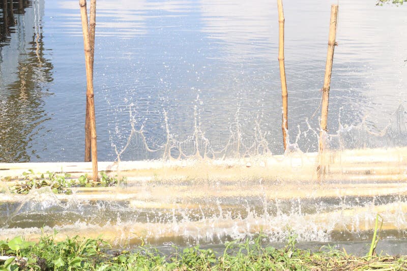 Water Splash on Pond from Hit Stock Image - Image of wind, wave: 339675097
