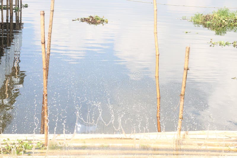 Water Splash on Pond from Hit Stock Photo - Image of wave, foam: 339675116