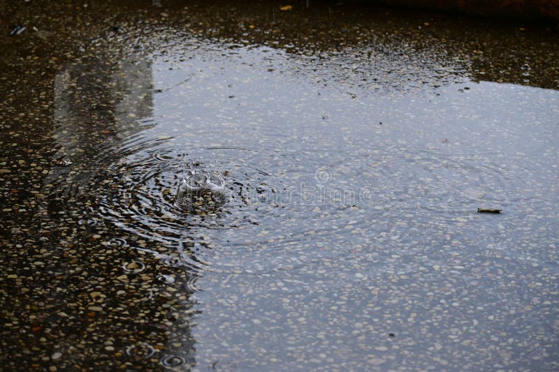 Water Splash in a Puddle stock image. Image of splash - 361895053