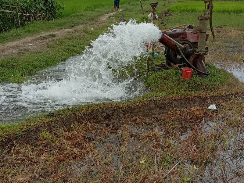 Water Splash of Pump on Paddy Farm Stock Photo - Image of corrosion ...