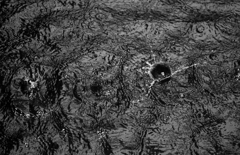 Water Splash from Rain Drop Isolated Stock Photo - Image of black ...