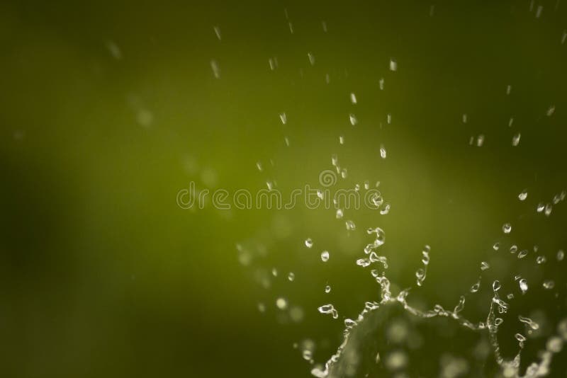Water splash stock photo. Image of pouring, cool, weather - 55155626