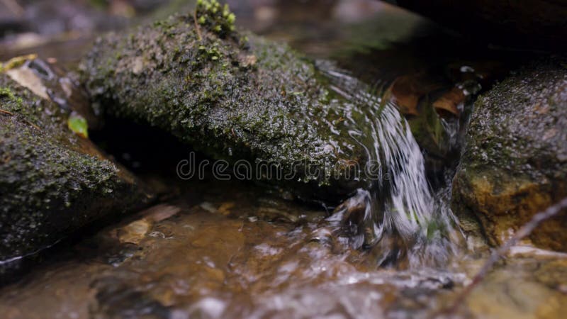 Water Splash in River. Water in River Close Up with Bubbles Stock Video ...