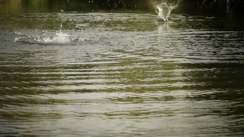 Water Splash from Fountain in a Park. Stock Video - Video of design ...