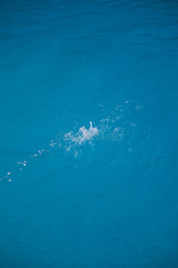 Water Splash in Swimming Pool on Blue Background Stock Photo - Image of ...