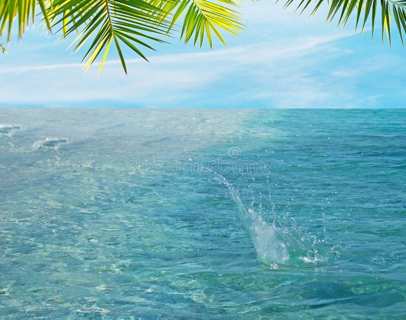 Water splash stock image. Image of shore, drop, foreshore - 38648579