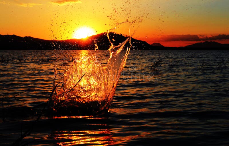The Water Splash Under the Setting Sun Stock Image - Image of azalea ...