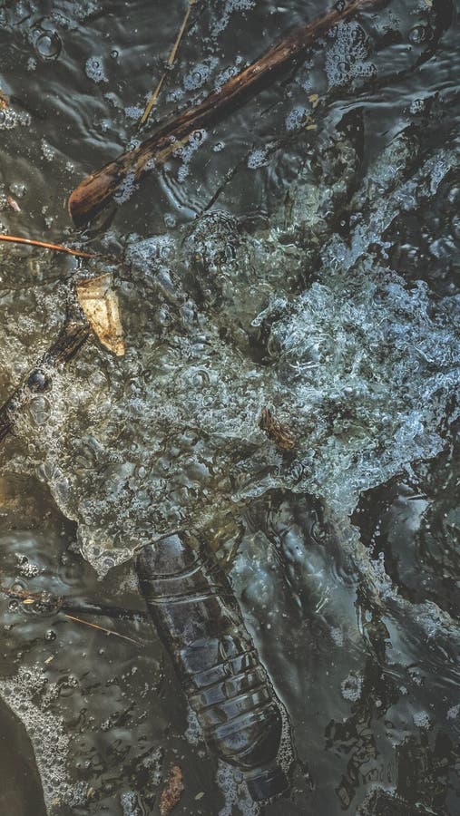 Water splash at the river stock photo. Image of wildlife - 227454158