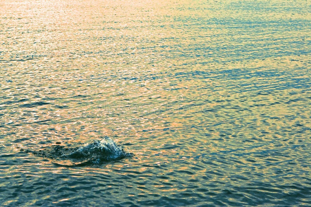 Water splash stock image. Image of light, drops, clean - 370189167