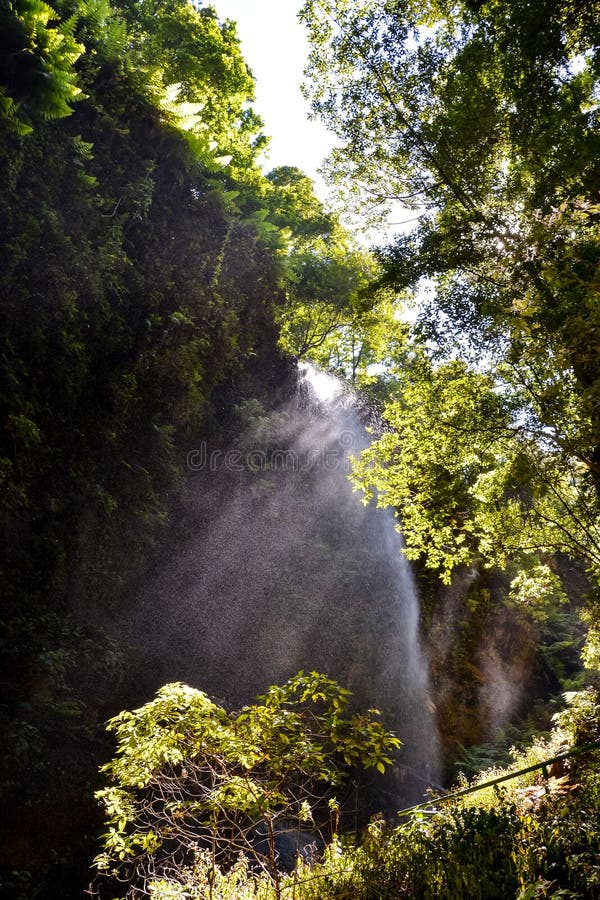 Water Splash Waterfall stock photo. Image of canary - 135337290