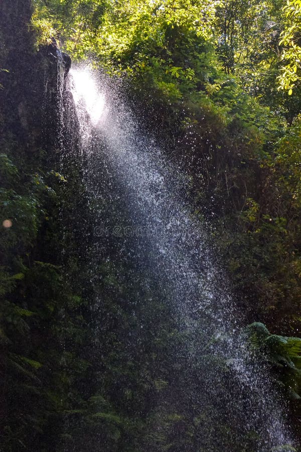 Water Splash Waterfall stock photo. Image of park, forest - 179689288