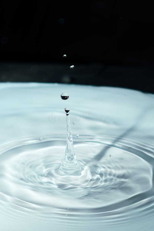 Water Drops Splash in White Plate with White Background Stock Image ...