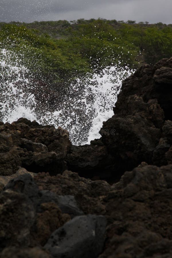 Water splashes stock photo. Image of water, spray, pearl - 153478228