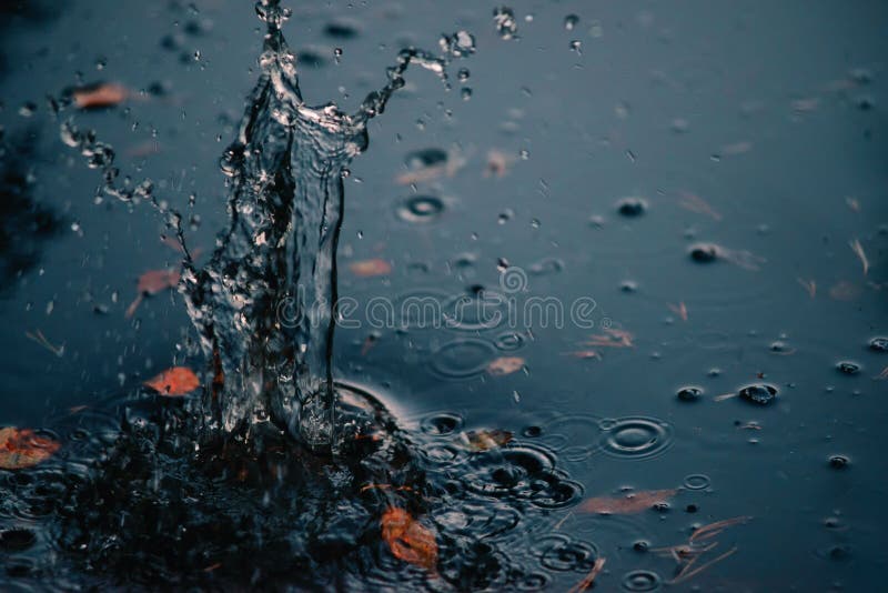 Water Splashes when the Stone is Thrown into the Lake Stock Image ...
