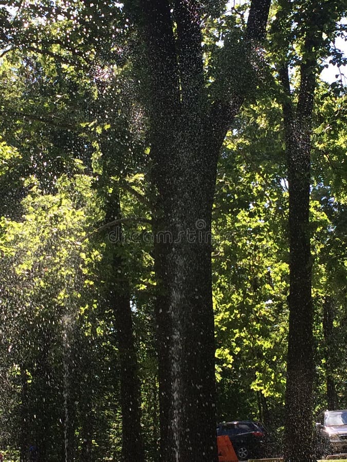 Water splashes stock photo. Image of front, water, trees - 171239764