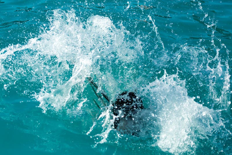 Water Splashing in the Pool Stock Photo - Image of summer, pool: 105400296