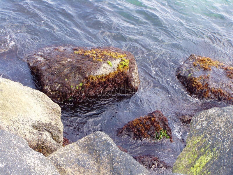 Water Splashing Rocks in the Ocean Stock Photo - Image of ripples ...