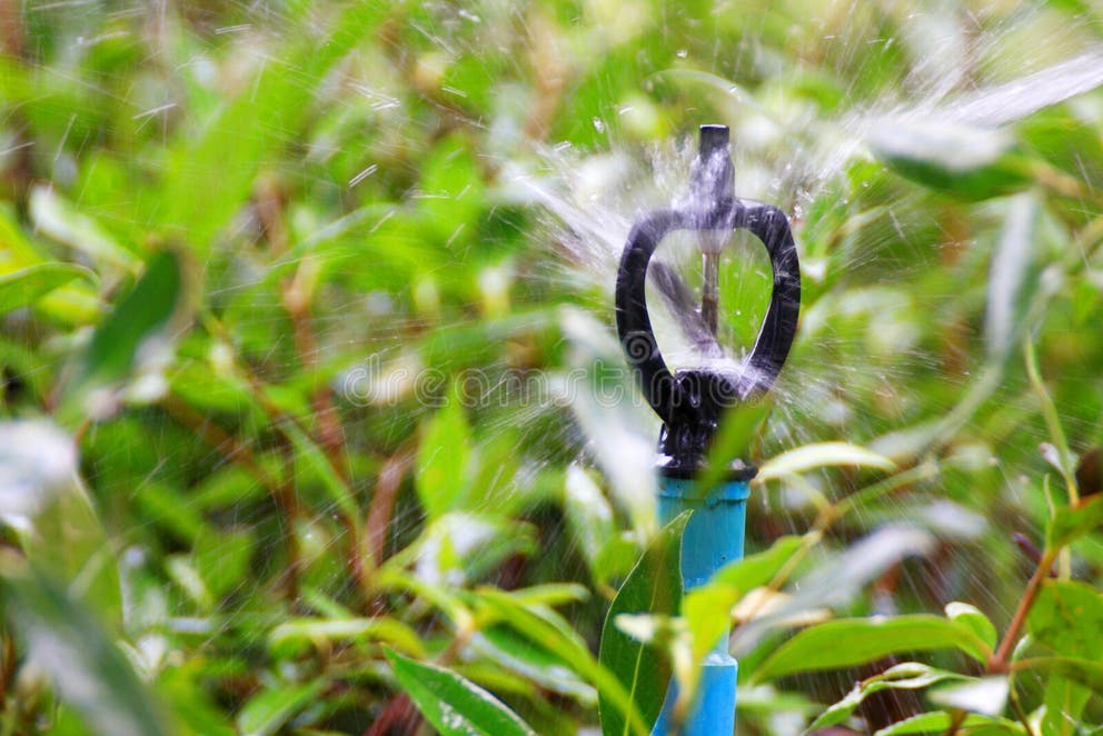 Water Splashing from a Sprinkler Stock Photo - Image of sprinkling ...