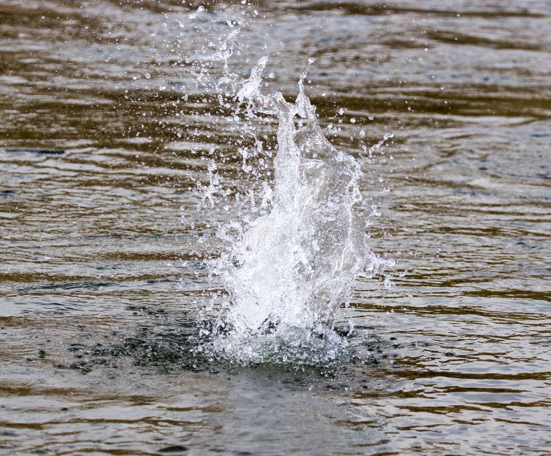 Water Splashing from a Stone in the River Stock Photo - Image of break ...