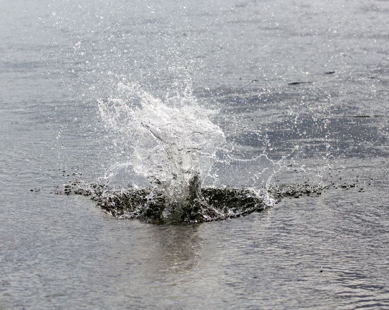 Water Splashing from a Stone in the River Stock Photo - Image of ...