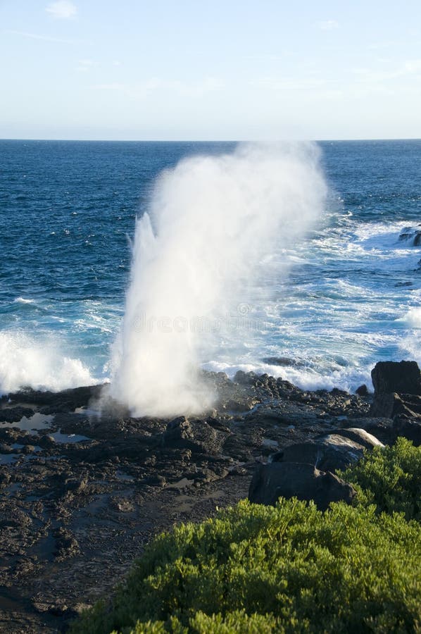 Water spout stock image. Image of waves, beach, surf - 22857659