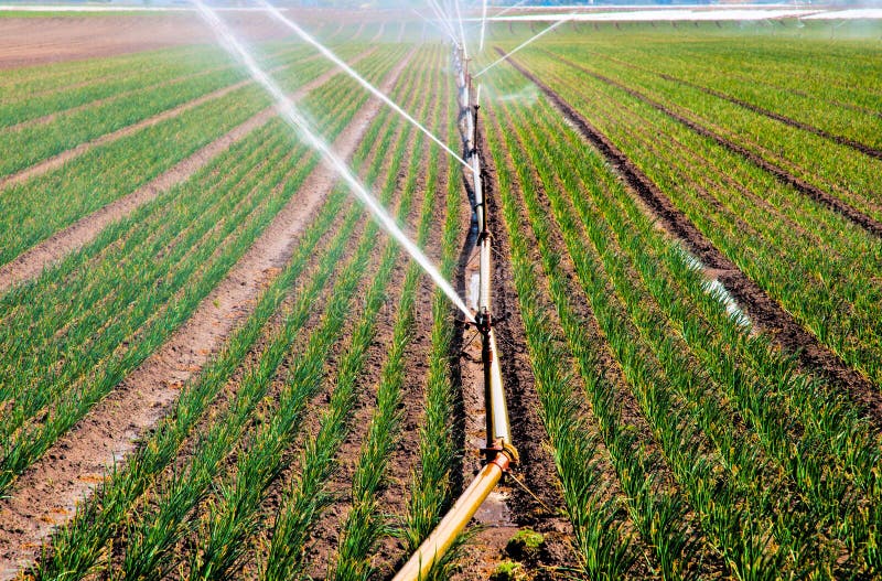 Agriculture water spray stock image. Image of irrigation - 25038551