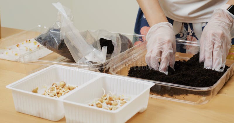 Water Spray on Soil into the Plastic Container Stock Image - Image of ...
