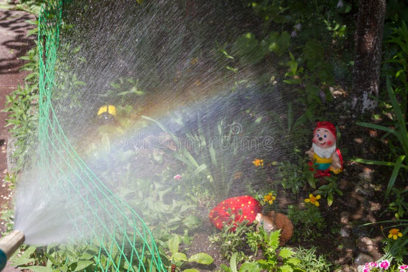 Water is Sprayed when Watering Stock Photo - Image of nature, care ...