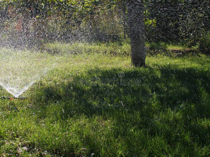 Water Sprayed On The Garden Stock Photo - Image of landscape ...