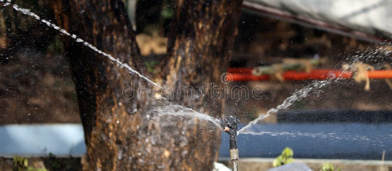 Water Sprayer Water is Sprayed. on Dim Backgrounds Stock Image - Image ...