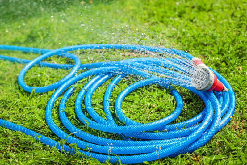 Water Spraying from Hose on Green Grass Outdoors Stock Photo - Image of ...