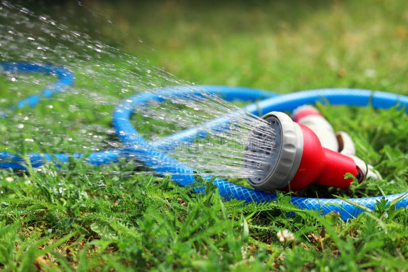 Water Spraying from Hose on Green Grass Outdoors, Closeup Stock Photo ...