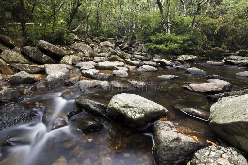 Water spring stock image. Image of rain, lifestyle, fresh - 12987915