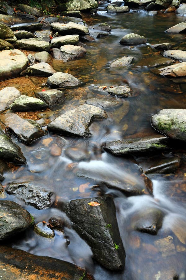 Water spring stock photo. Image of abstract, gallon, leaf - 13208398