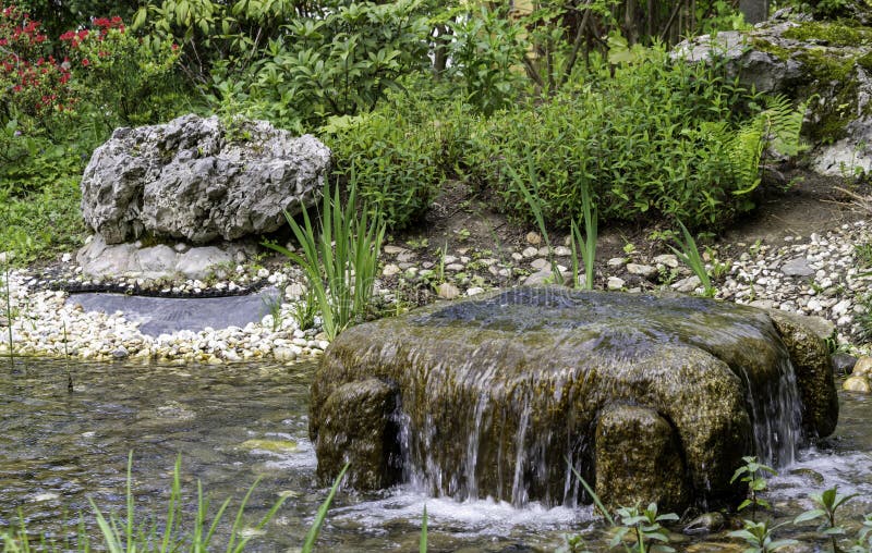 Water Spring on a Botanical Garden during Springtime Stock Image ...