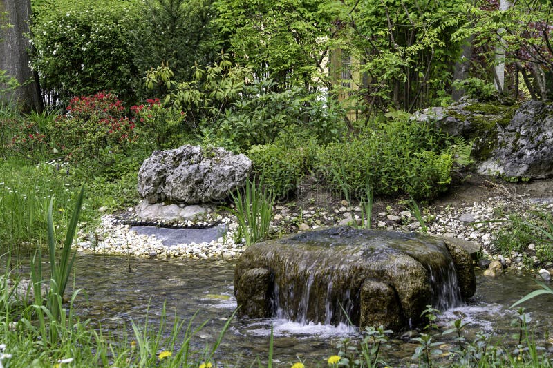 Water Spring on a Botanical Garden during Springtime Stock Photo ...