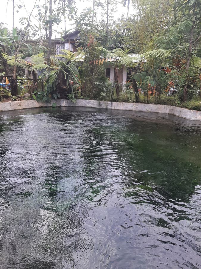 Water Spring Cimincul Subang Indonesia Stock Photo - Image of stream ...