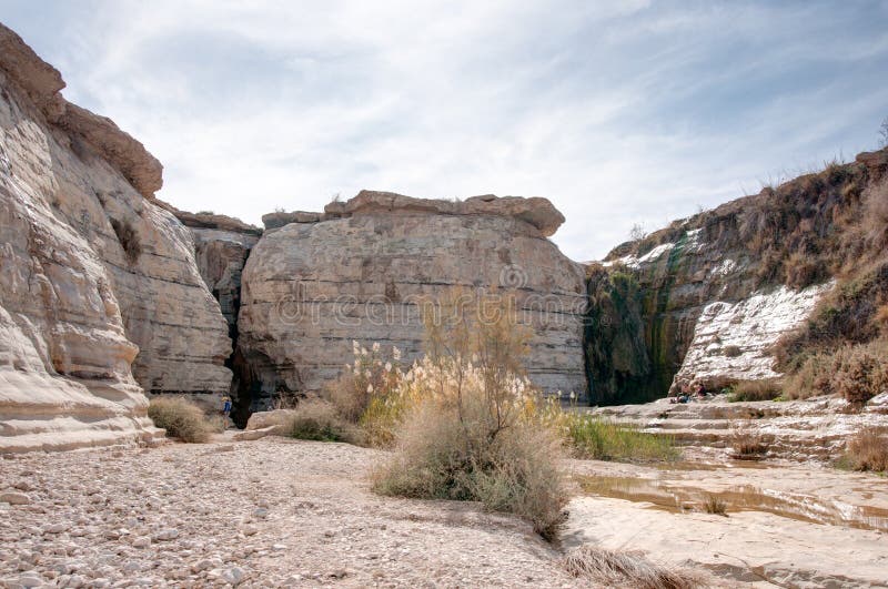 Water spring in a desert stock photo. Image of hiking - 50367056