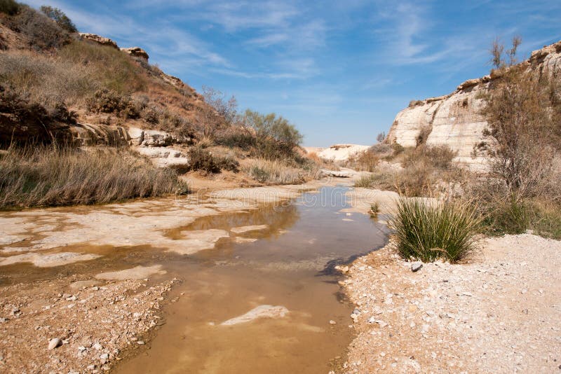 Water spring in a desert stock photo. Image of hiking - 51174010