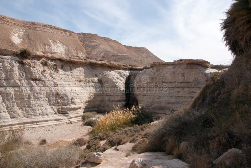 Water spring in a desert stock photo. Image of hiking - 51174010