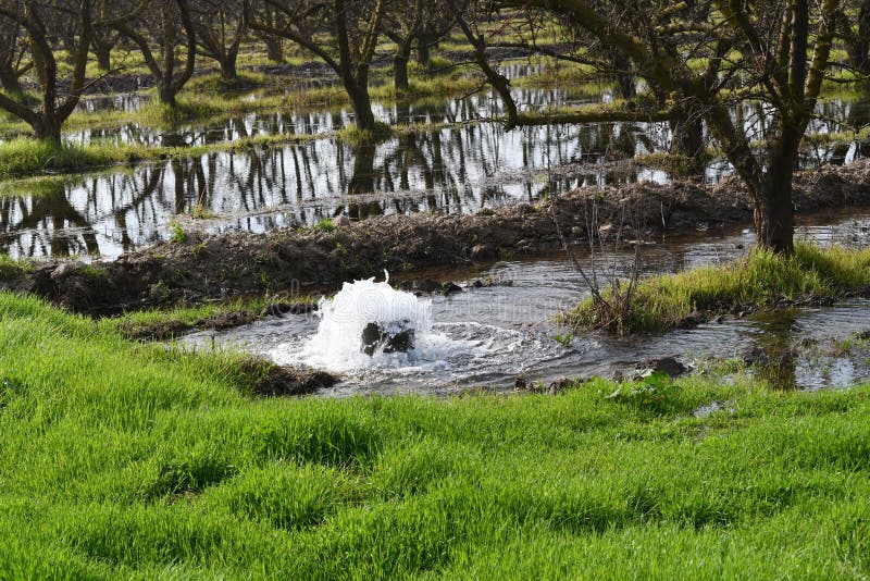 1,028 Spring Water Out Ground Stock Photos - Free & Royalty-Free Stock ...
