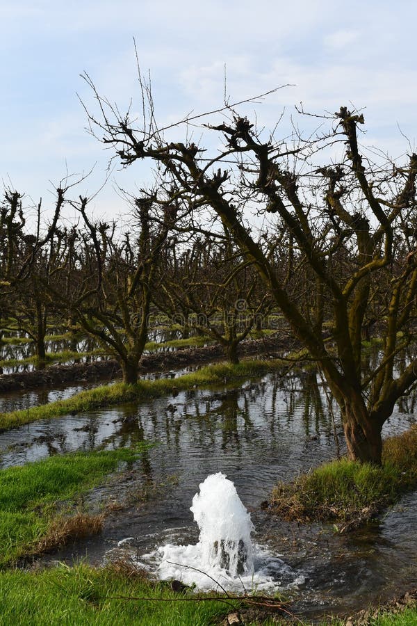 1,147 Spring Water Out Ground Stock Photos - Free & Royalty-Free Stock ...