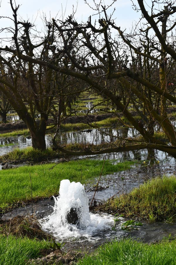 1,193 Spring Water Out Ground Stock Photos - Free & Royalty-Free Stock ...