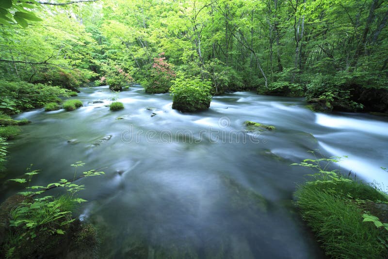 Water spring in forest stock photo. Image of rock, splash - 16932774