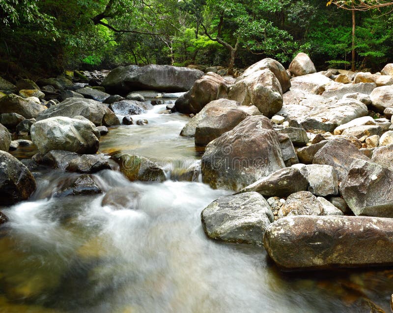 Water stream in forest stock image. Image of flowing - 20864323