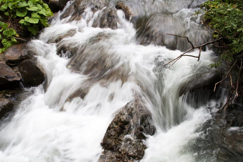 Water spring in forest stock image. Image of mountain - 20816827