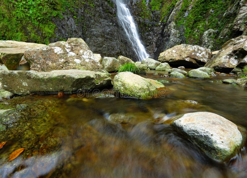 Water spring in forest stock image. Image of mountain - 23153003
